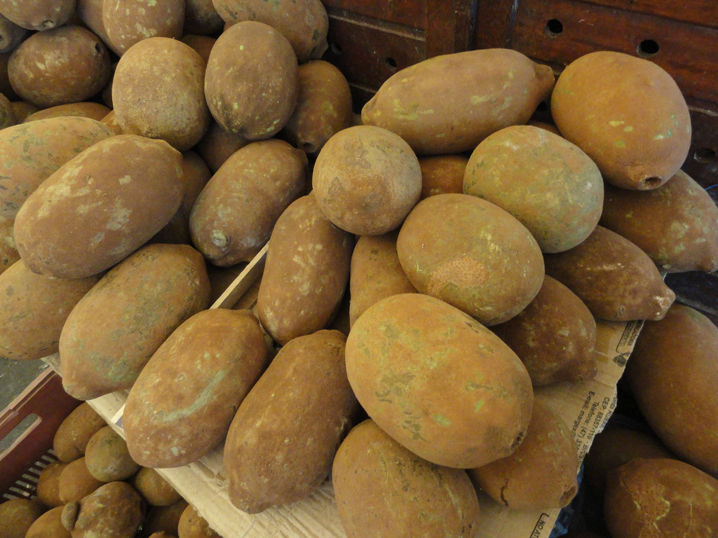 Frutas brasileiras: Descubra os benefícios do cupuaçu - Pensamento Verde