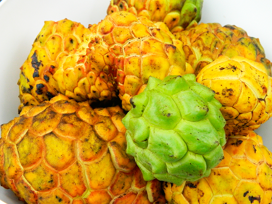 Atemoia: uma fruta com muitos benefícios - Pensamento Verde