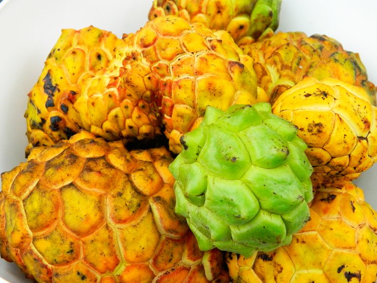 Atemoia: uma fruta com muitos benefícios | Pensamento Verde