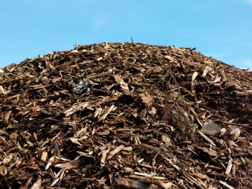 Descubra o que são resíduos inertes | Pensamento Verde