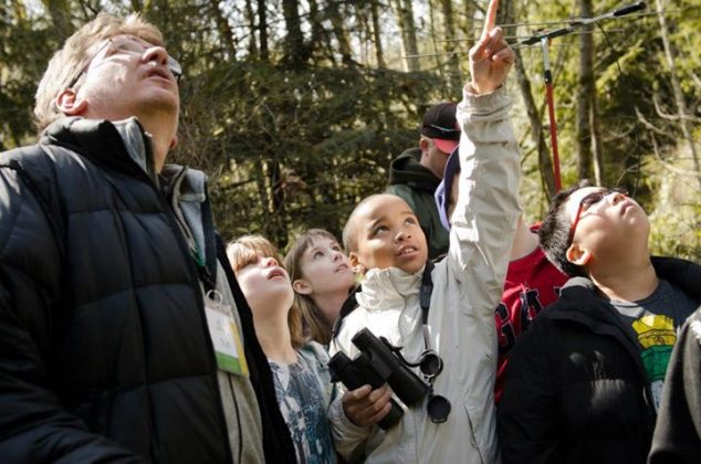 Você sabe qual é a diferença entre lago e lagoa? | Pensamento Verde
