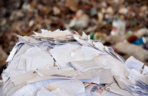 Descubra o tempo de decomposição do papel na natureza | Pensamento Verde