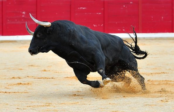 Conheça 8 animais que são símbolos dos países | Pensamento Verde