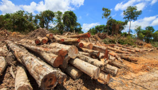 O processo de extrativismo animal na Amazônia e seu impacto para o ...