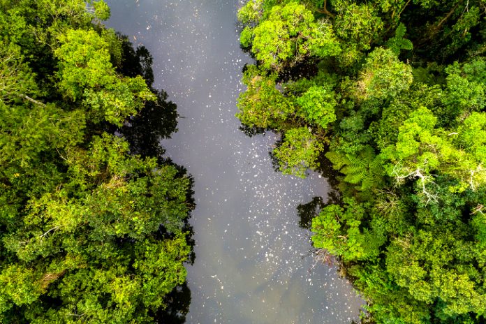 ONU Meio Ambiente lança iniciativa “Rios limpos para mares limpos ... ONU Meio Ambiente lança iniciativa “Rios limpos para mares limpos ...