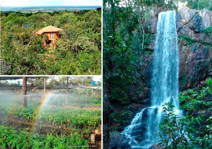 Conheça as ecovilas brasileiras | Pensamento Verde